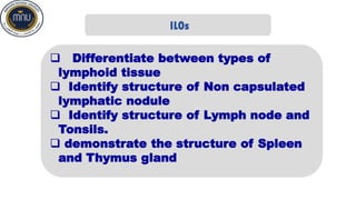 Lymphatic system | PDF