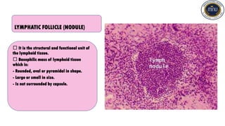 Lymphatic system | PDF