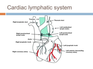 lymphatic_system Lymphatic System in Cardiovascular Medicine.ppt