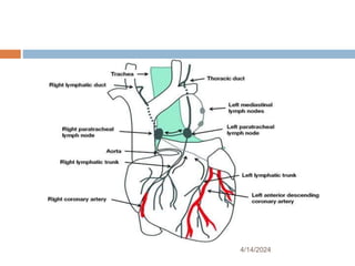 lymphatic_system Lymphatic System in Cardiovascular Medicine.ppt