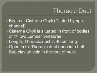 Unit IX: The Lymphatic System A&P BSN 1 | PPT