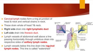 Lymphatic System of Human Body by Dr. Rabia Inam Gandapore.pptx