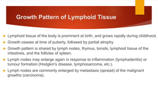 Lymphatic System of Human Body by Dr. Rabia Inam Gandapore.pptx