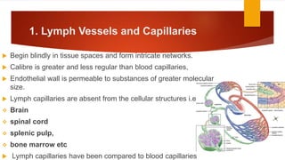 Lymphatic System of Human Body by Dr. Rabia Inam Gandapore.pptx
