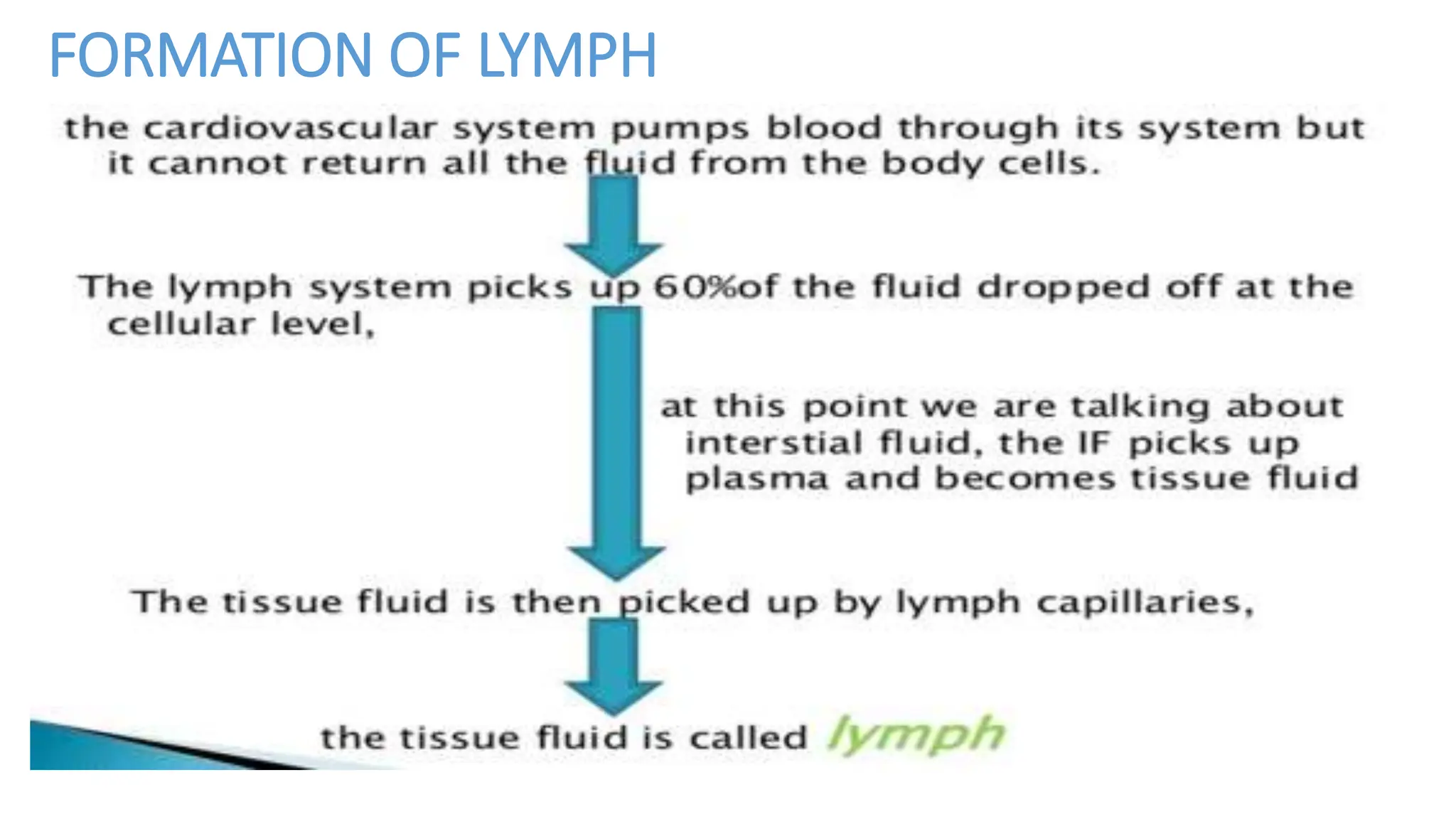 LYMPHATIC SYSTEM POWERPOINT PRESENTATION | PPTX | Biological Sciences | Science