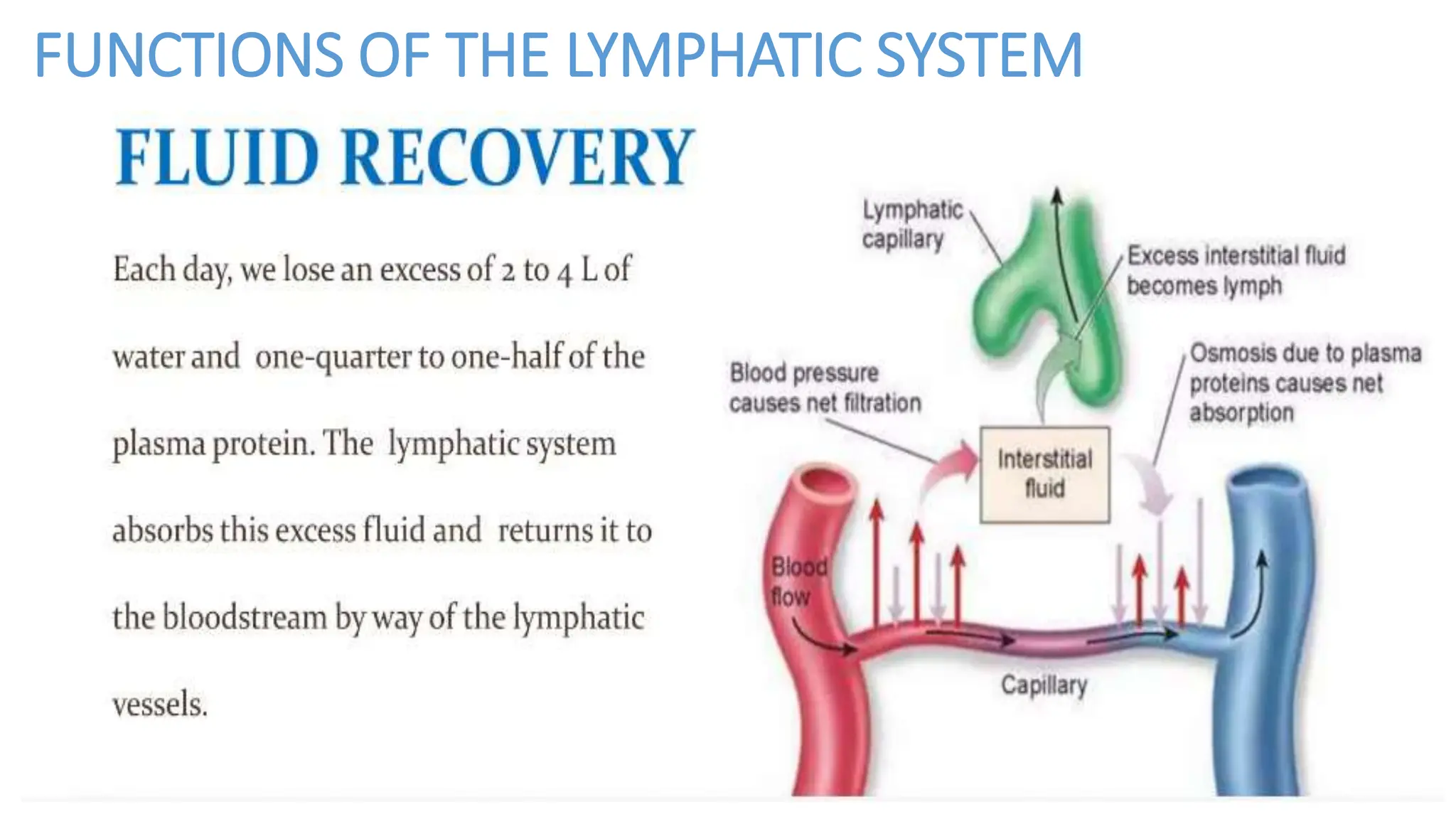 LYMPHATIC SYSTEM POWERPOINT PRESENTATION | PPTX