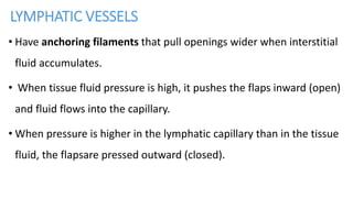 LYMPHATIC SYSTEM POWERPOINT PRESENTATION | PPTX