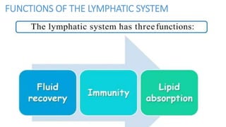 LYMPHATIC SYSTEM POWERPOINT PRESENTATION | PPTX