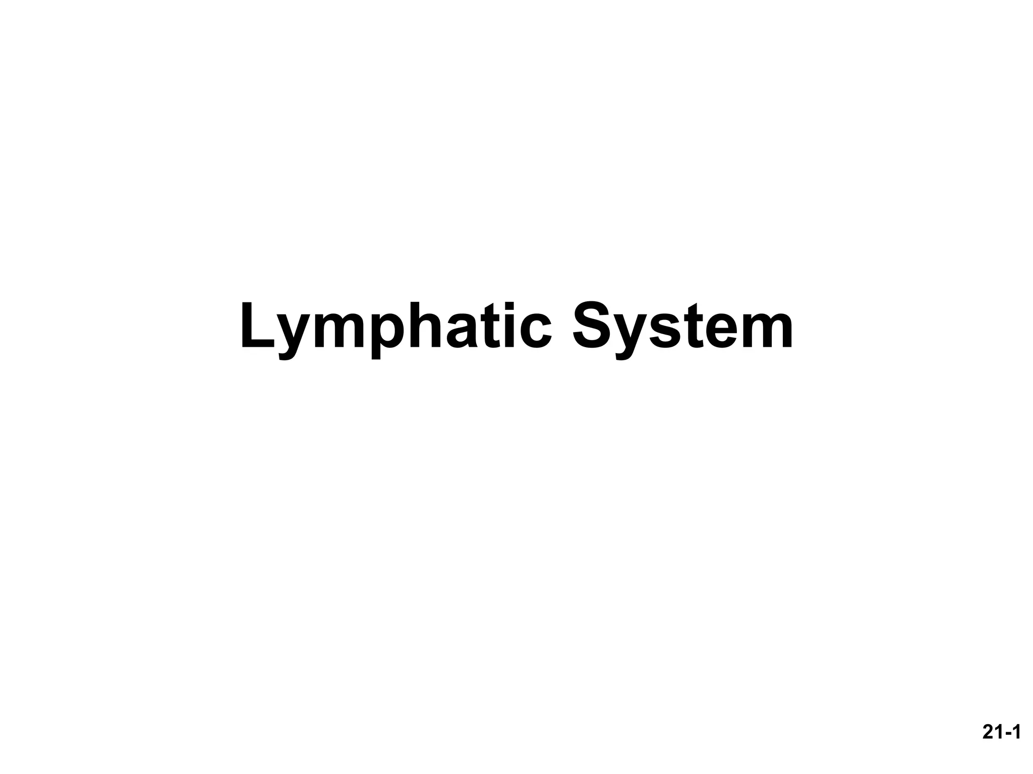 Anatomy of The lymphatic system of the human body. | PPTX