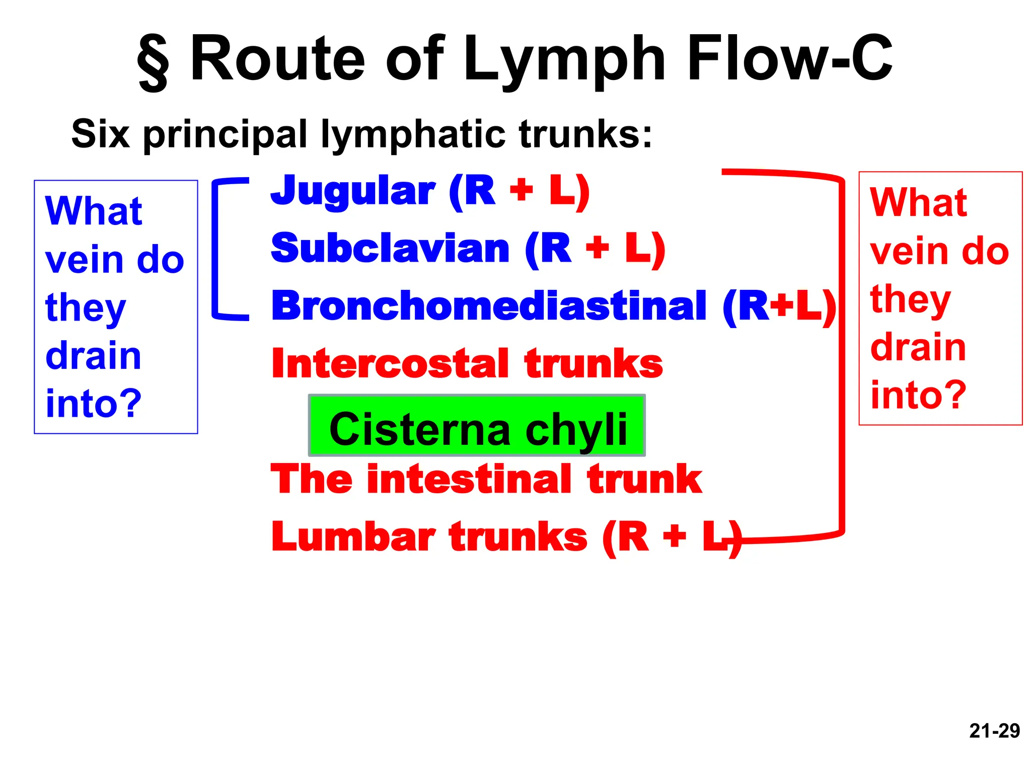 Anatomy of The lymphatic system of the human body. | PPTX