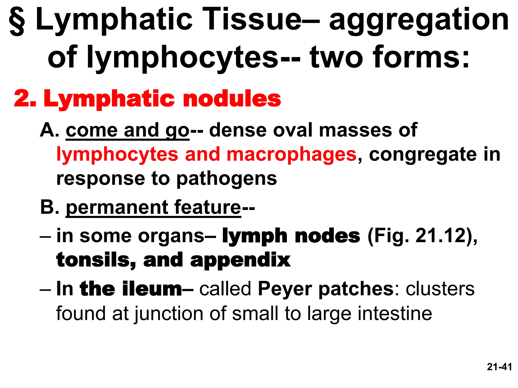 Anatomy of The lymphatic system of the human body. | PPTX