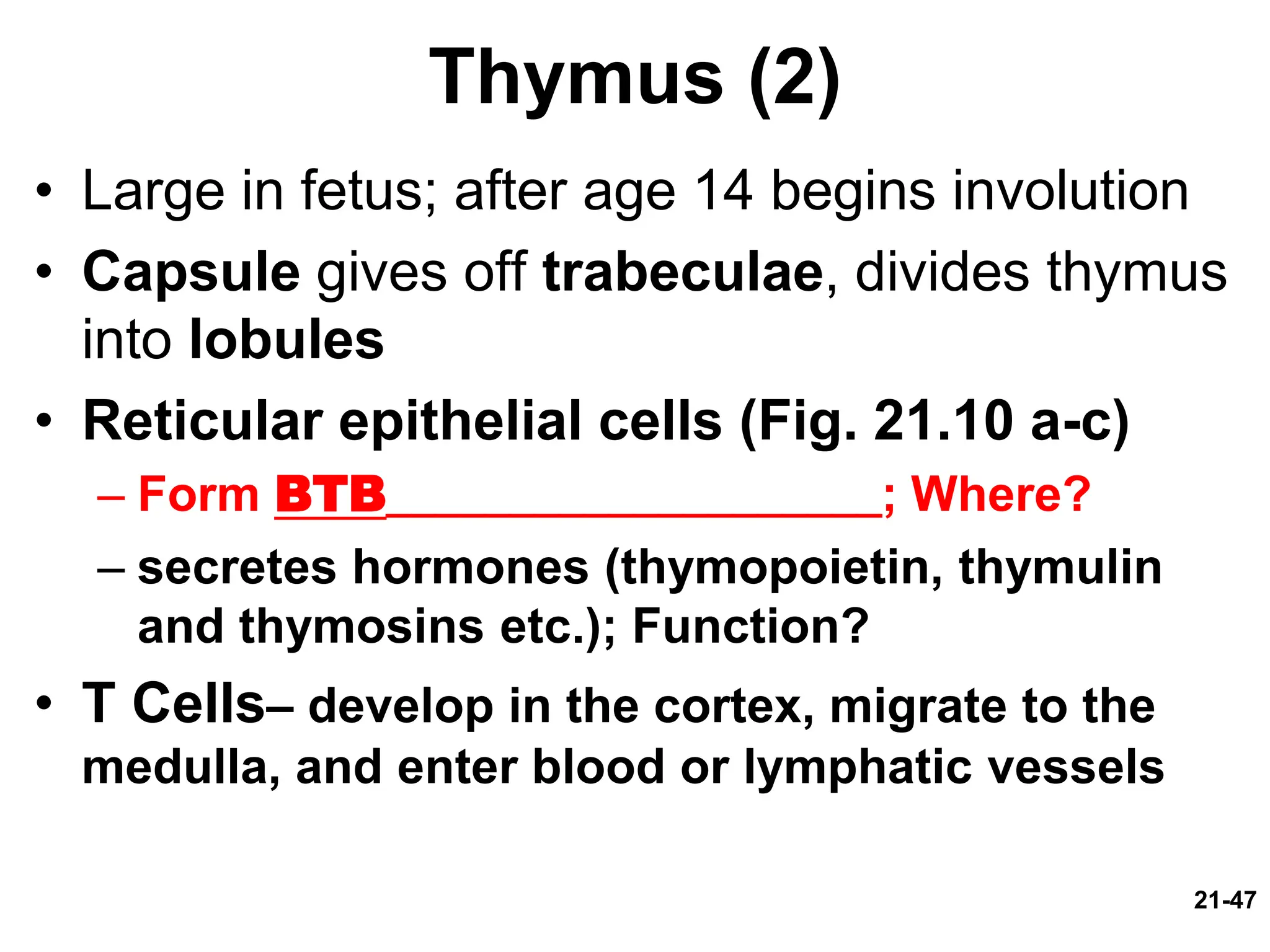 Anatomy of The lymphatic system of the human body. | PPTX