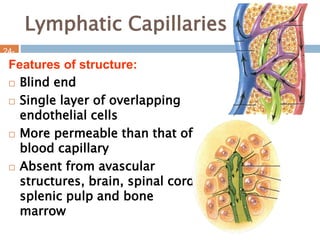 Anatomy of The lymphatic system of the human body. | PPTX