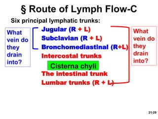 Anatomy of The lymphatic system of the human body. | PPTX