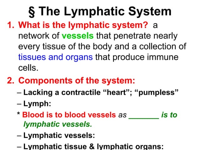 Anatomy of The lymphatic system of the human body. | PPT