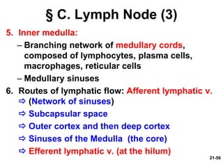 Anatomy of The lymphatic system of the human body. | PPTX