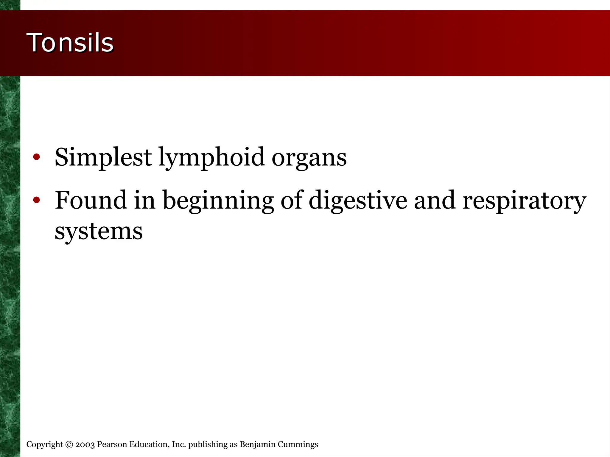 Lymphatic System.ppt for medical study purpose | PPT