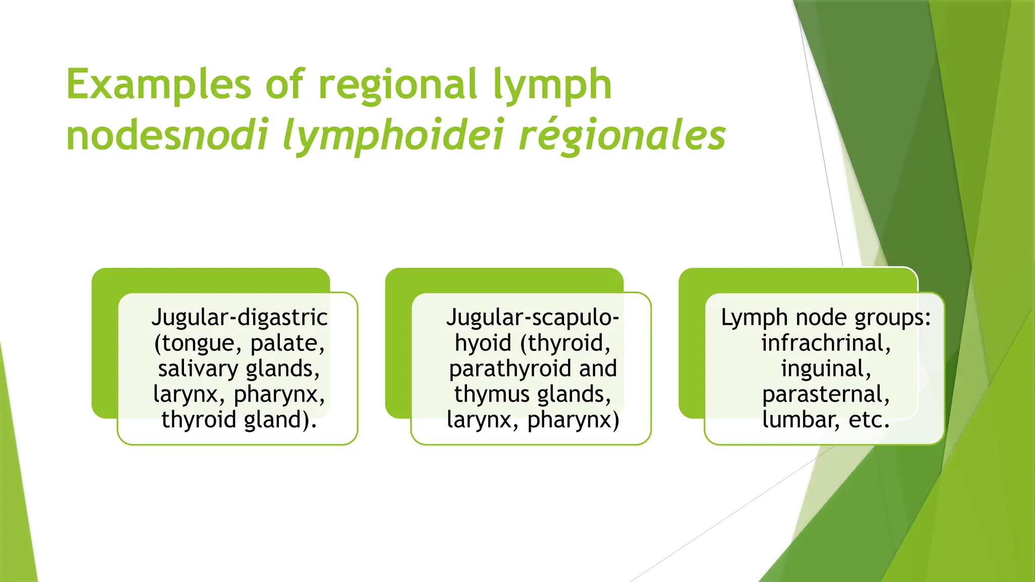 Lymphatic System anatomy,physiology and histology | PPTX