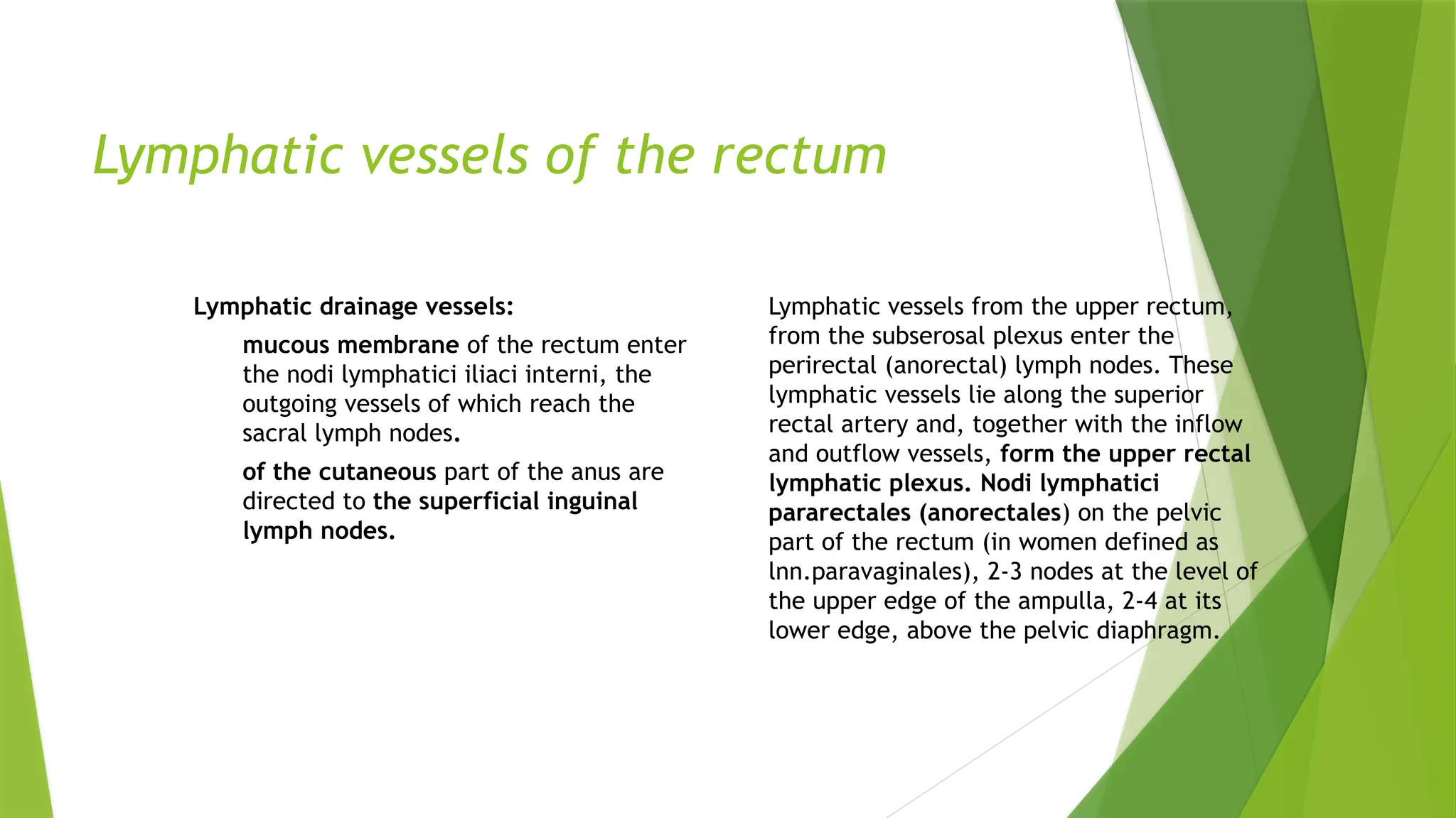 Lymphatic System anatomy,physiology and histology | PPTX