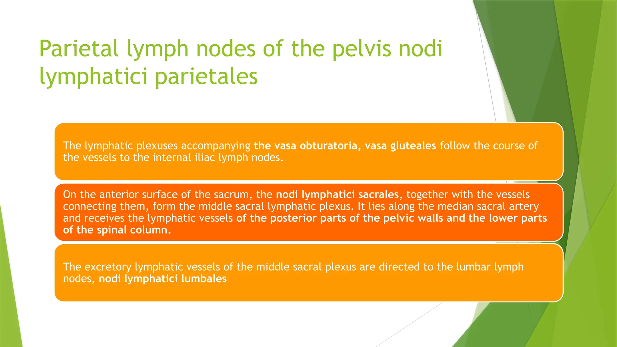 Lymphatic System anatomy,physiology and histology | PPTX