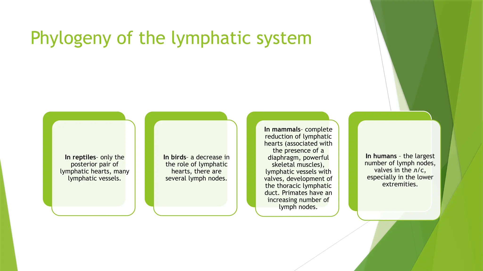 Lymphatic System anatomy,physiology and histology | PPTX