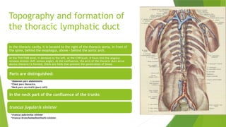 Lymphatic System anatomy,physiology and histology | PPTX