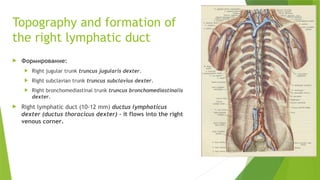 Lymphatic System anatomy,physiology and histology | PPTX