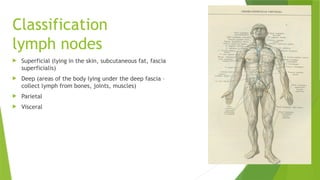 Lymphatic System anatomy,physiology and histology | PPTX