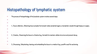 Lymphatic system complete details are explained | PPT