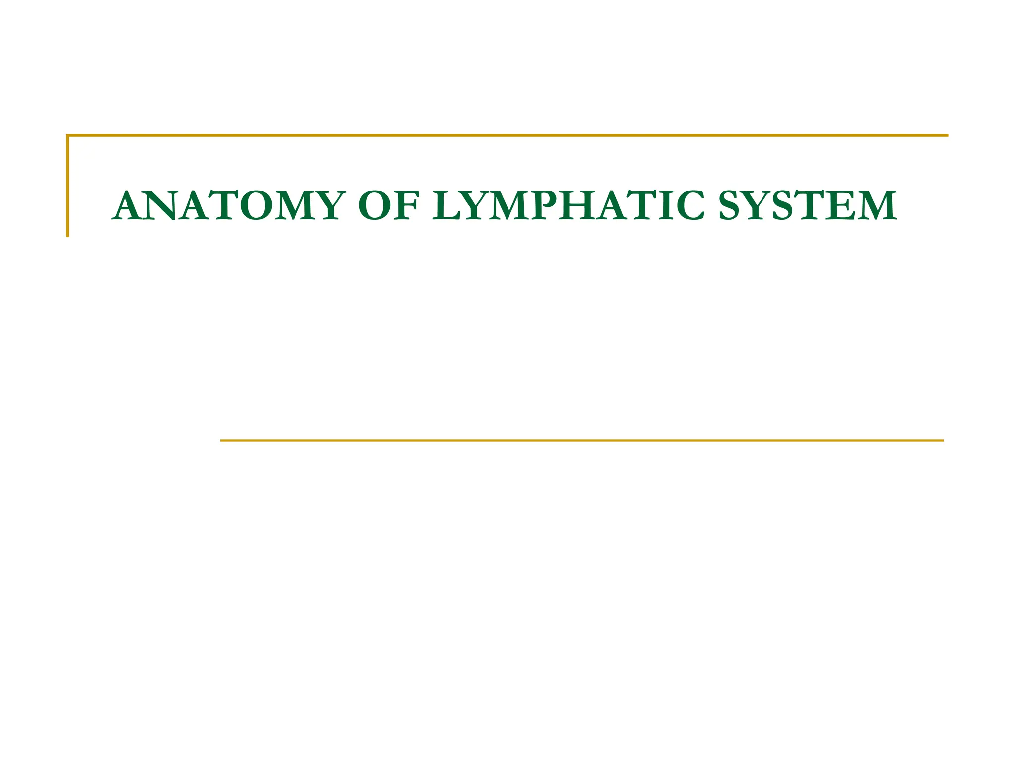 anatomy of LYMPHATIC SYSTEM power point presentation | PPT