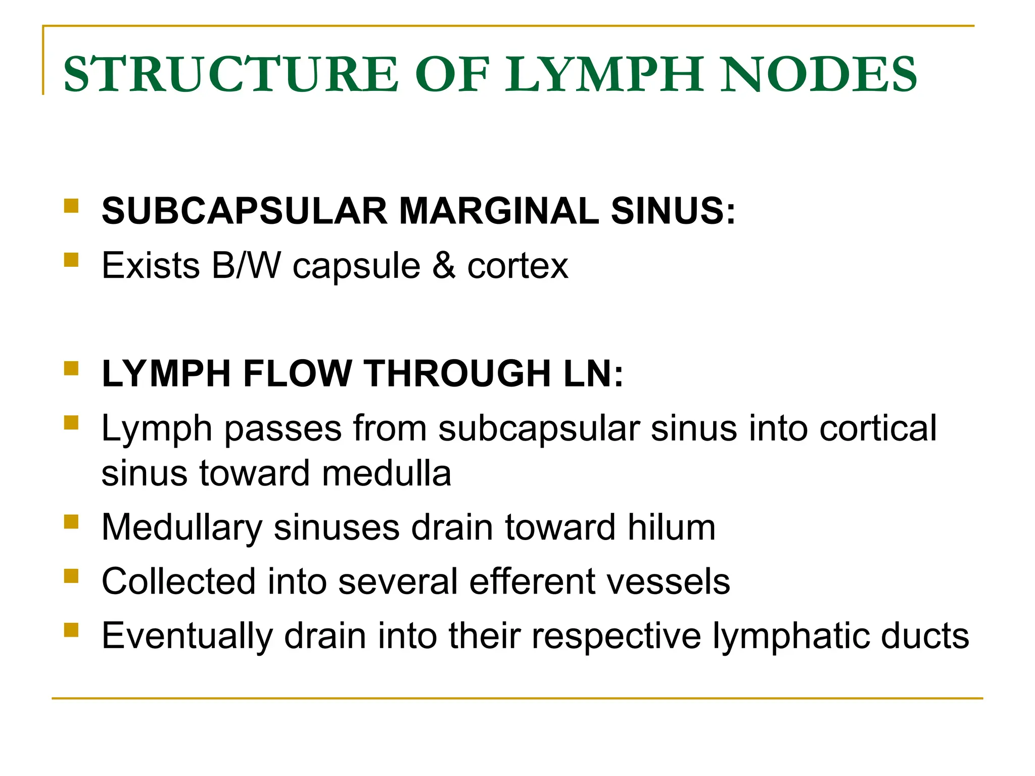 anatomy of LYMPHATIC SYSTEM power point presentation | PPT