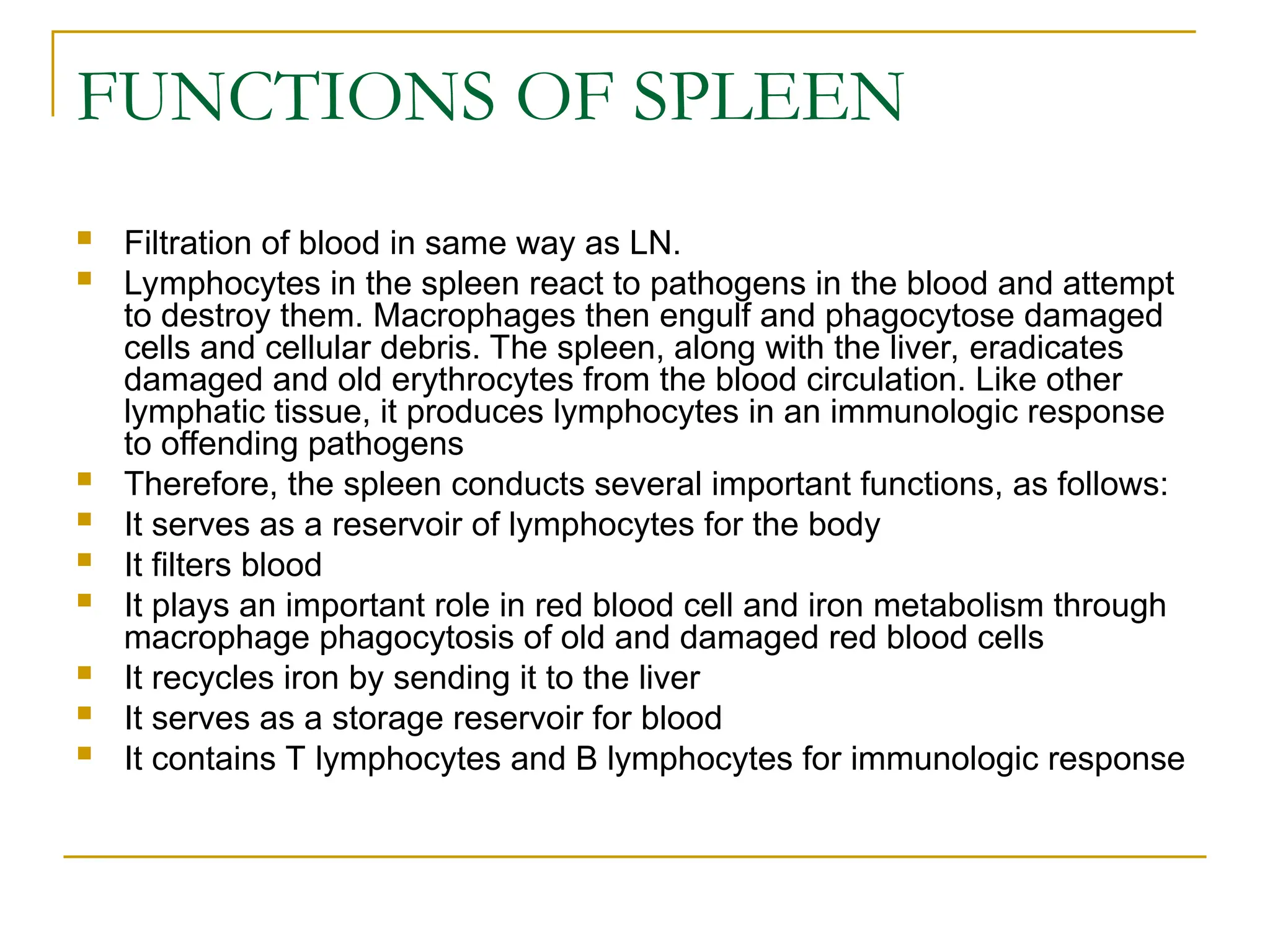 anatomy of LYMPHATIC SYSTEM power point presentation | PPT