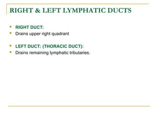 anatomy of LYMPHATIC SYSTEM power point presentation | PPT