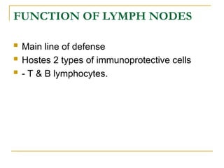anatomy of LYMPHATIC SYSTEM power point presentation | PPT