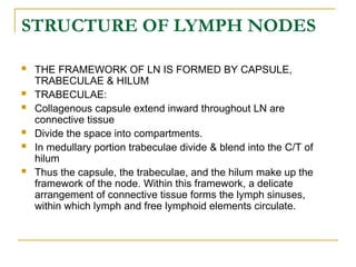 anatomy of LYMPHATIC SYSTEM power point presentation | PPT