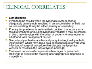 anatomy of LYMPHATIC SYSTEM power point presentation | PPT