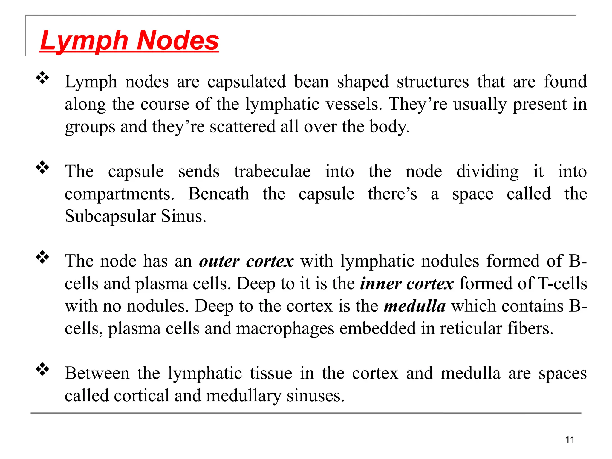 Lymphatic System for medical and biology students | PPTX