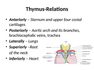 LYMPHATIC SYSTEM.pptx for nurses in details | PPTX