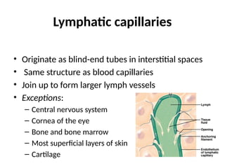 LYMPHATIC SYSTEM.pptx for nurses in details | PPTX