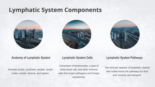 Lymphatic System anatomy in detail .pptx