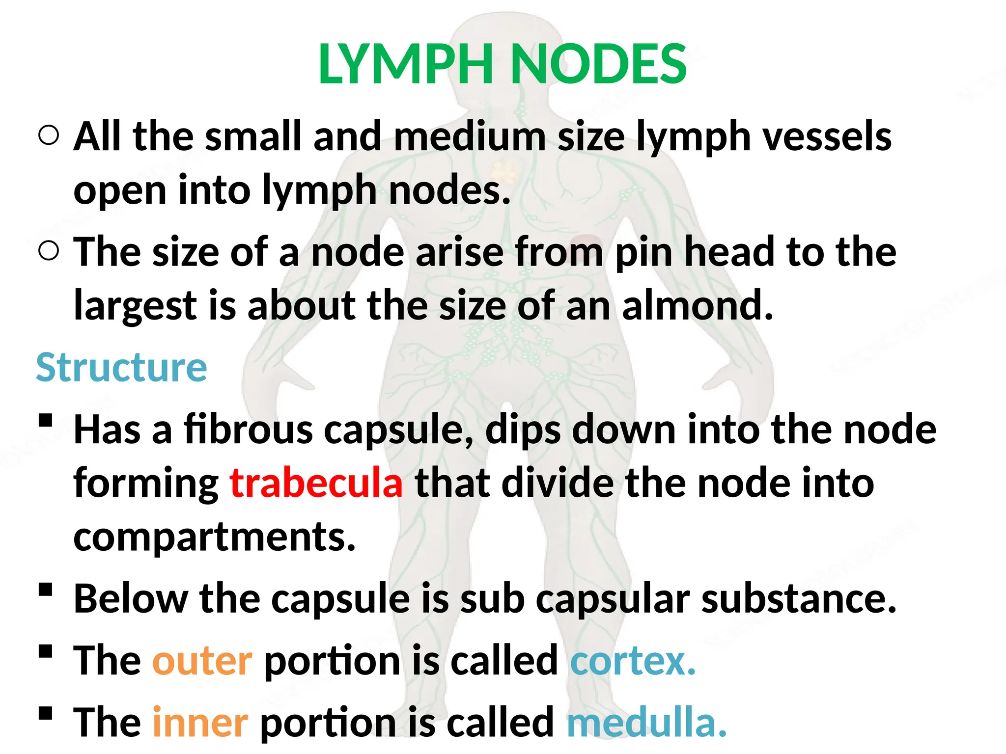 lymphatic system lymh glands lymph and glands | PPTX