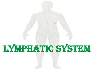 lymphatic system lymh glands lymph and glands | PPTX