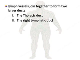 lymphatic system lymh glands lymph and glands | PPTX