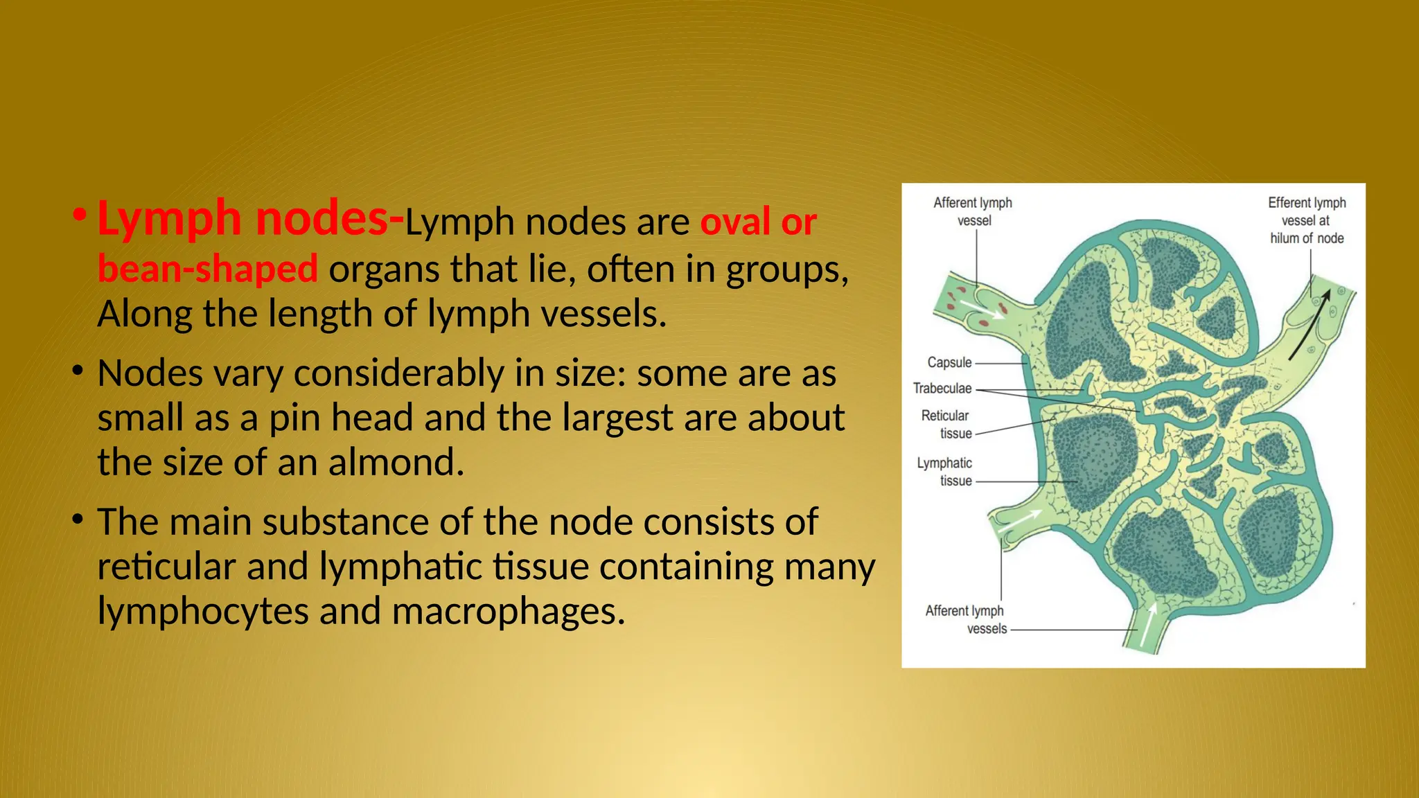 lymphatic system....................pptx