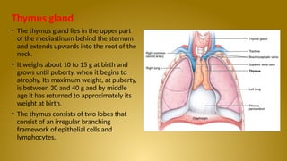 lymphatic system....................pptx