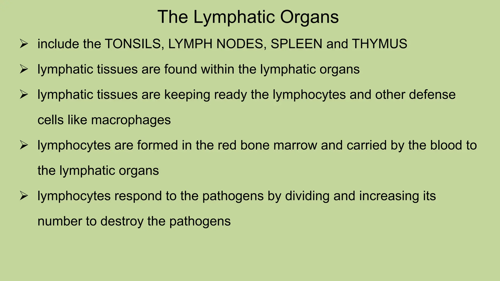 LYMPHATIC SYSTEM nursing anatomy and physiology | PDF