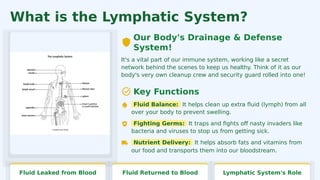 Lymphatic System for Science Grade .pptx