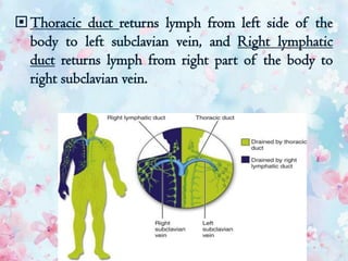 lymphatic system-converted.pdf
