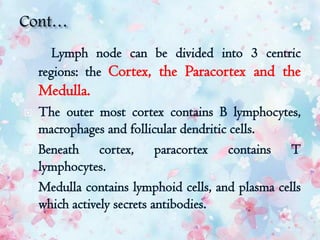 lymphatic system-converted.pdf