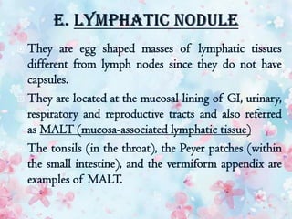 lymphatic system-converted.pdf